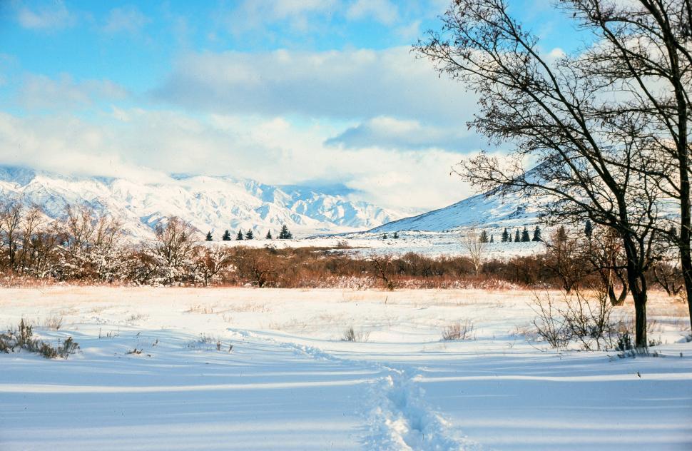 Free Stock Photo of Wilderness covered by snow | Download Free Images ...