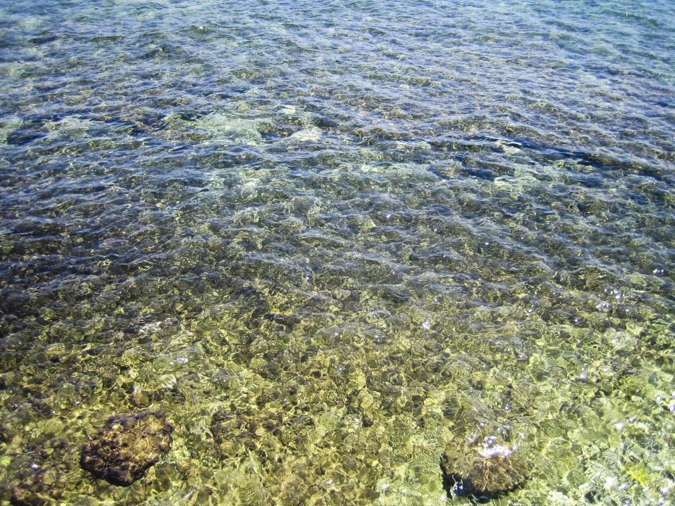 Free Stock Photo of shallow sea | Download Free Images and Free ...