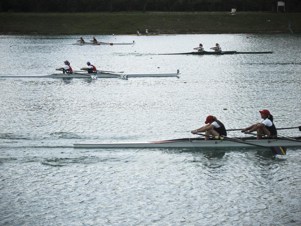 Free Stock Photo of rowing race | Download Free Images and Free ...