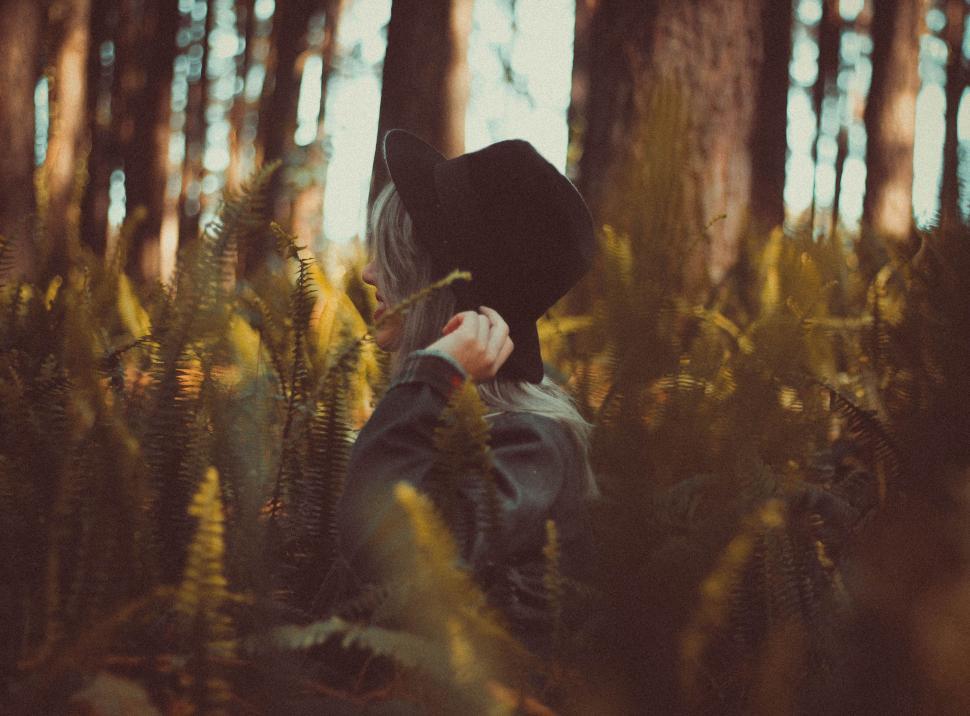 Free Stock Photo of Person Standing in Forest With Tall Grass ...