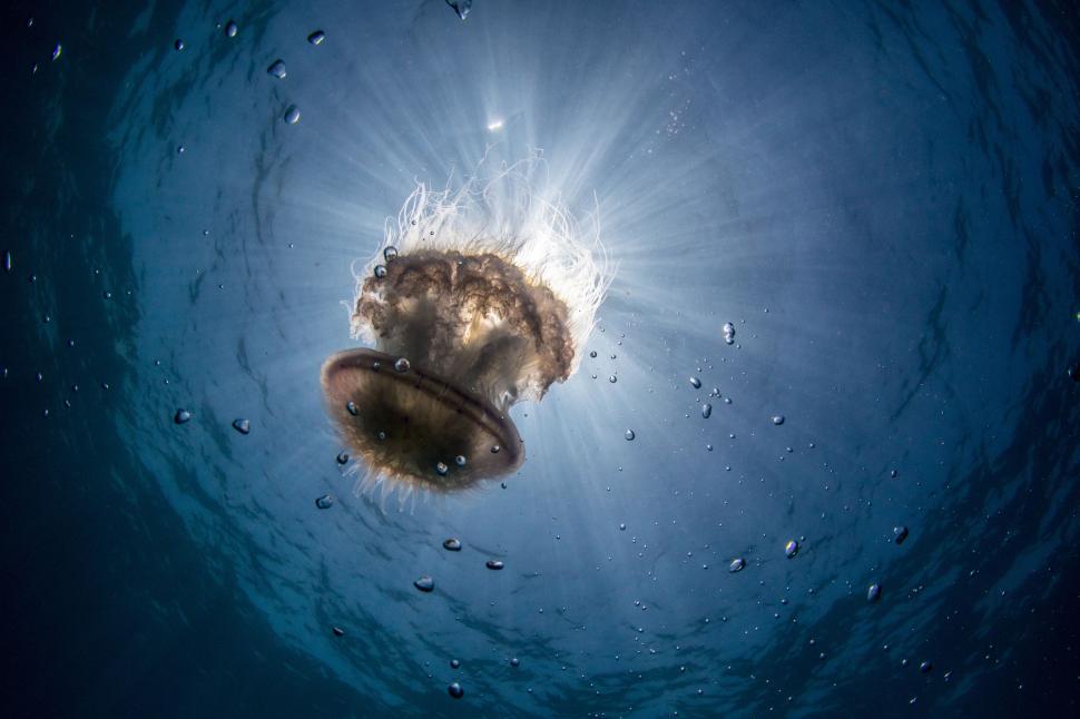 Free Stock Photo of Enormous Object Floating in the Middle of the Ocean ...