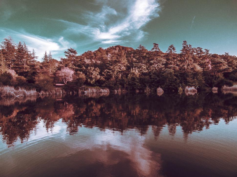 Free Stock Photo of Water Body Surrounded by Trees and Clouds ...