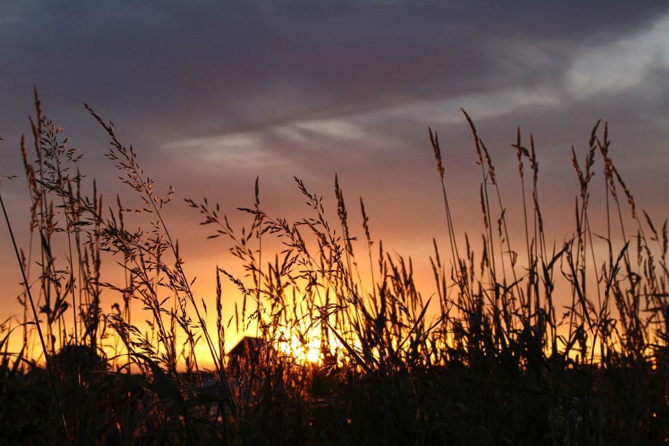 Free Stock Photo of sky field landscape clouds atmosphere sunset ...
