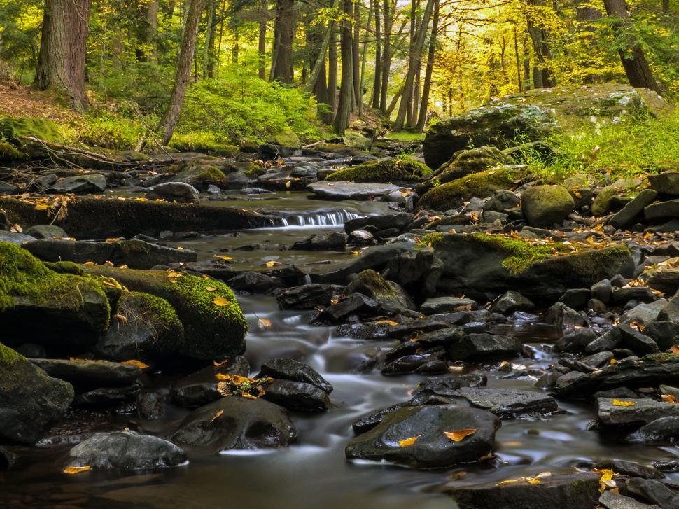 Free Stock Photo of Brook in Autumn | Download Free Images and Free ...