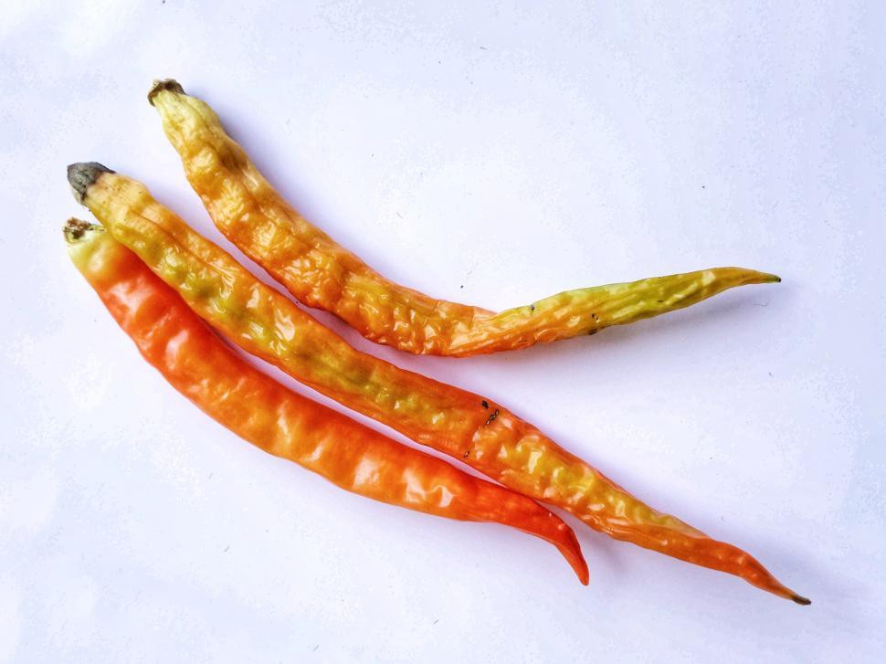 Free Stock Photo of Pepper or chilli or capsicum | Download Free Images ...
