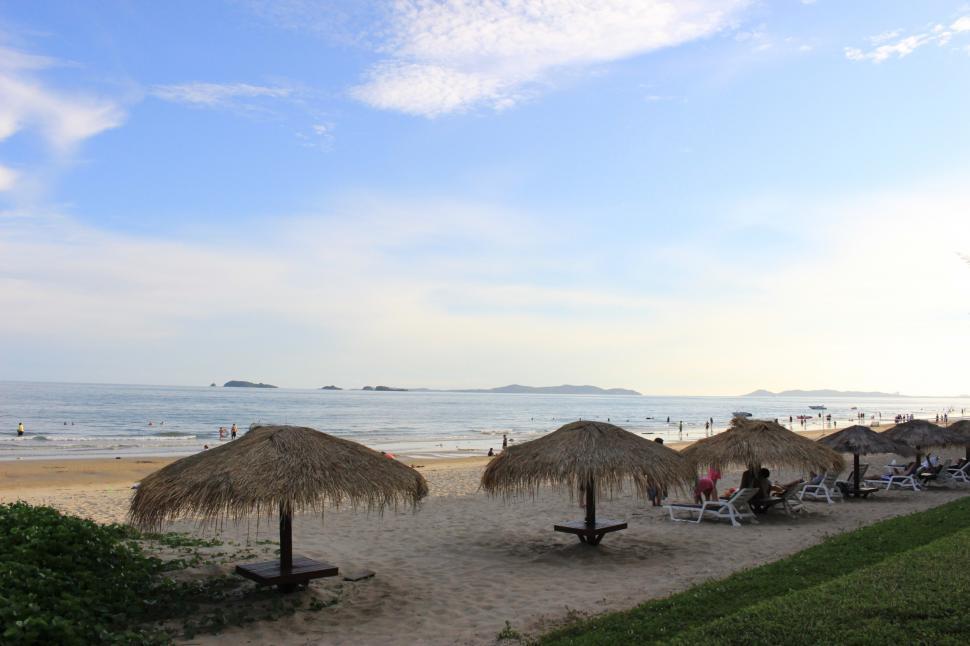 Free Stock Photo of Traditional thatched sun shade umbrellas on a ...