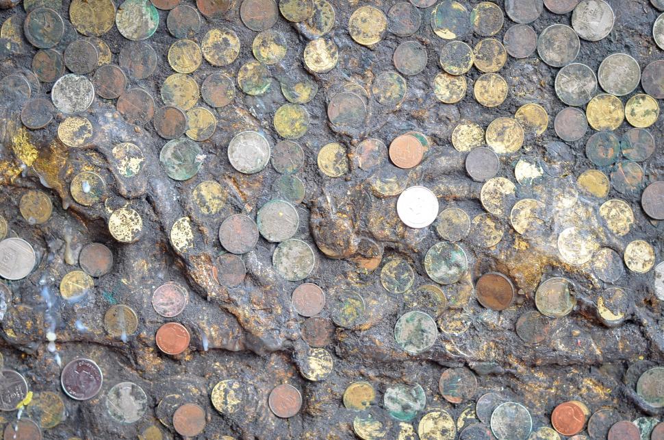 Free Stock Photo of Coins in Mud | Download Free Images and Free ...