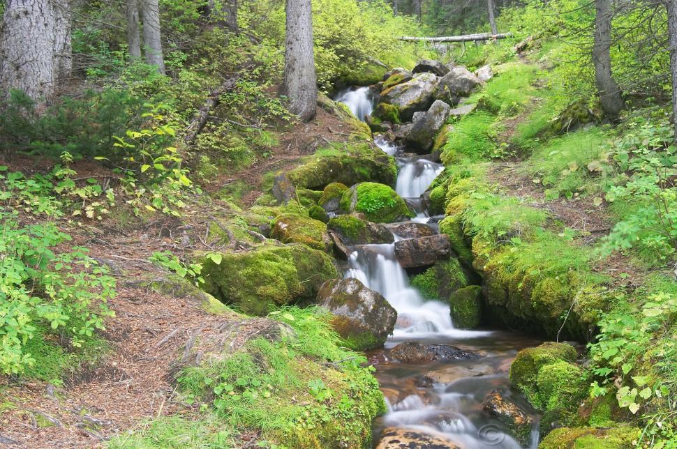 Free Stock Photo of Roadside Stream | Download Free Images and Free ...