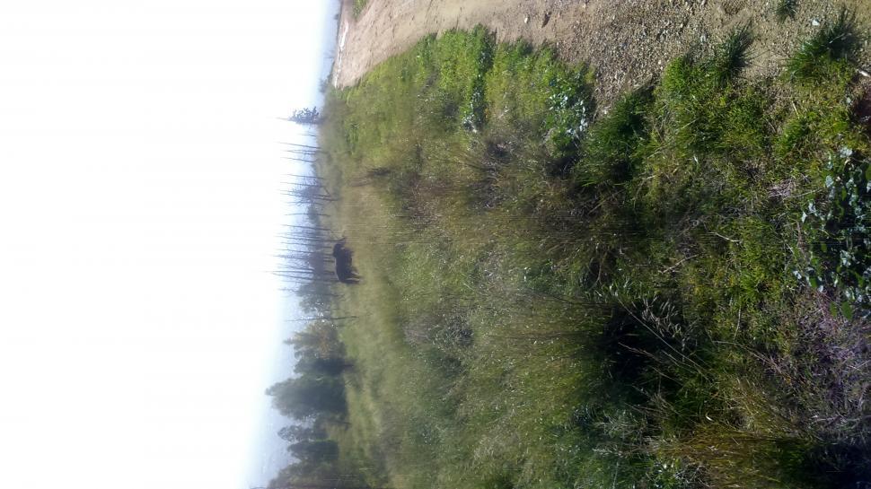 Free Stock Photo of nature | Download Free Images and Free Illustrations