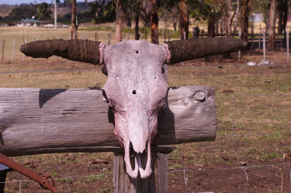 Free Stock Photo of Empty Head | Download Free Images and Free ...