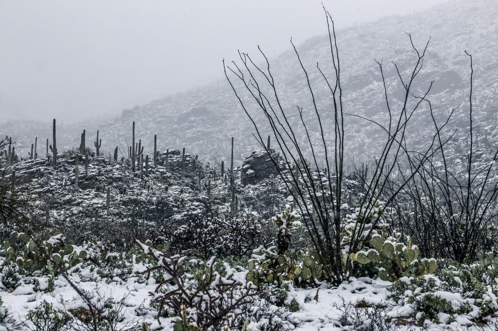 Free Stock Photo of Snowy Desert Scene | Download Free Images and Free ...