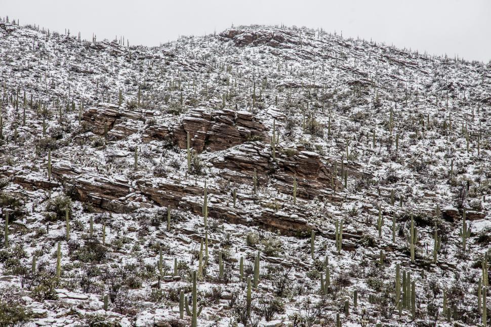 Free Stock Photo of Hillside of Layered Rocks and Cactus After Snow ...