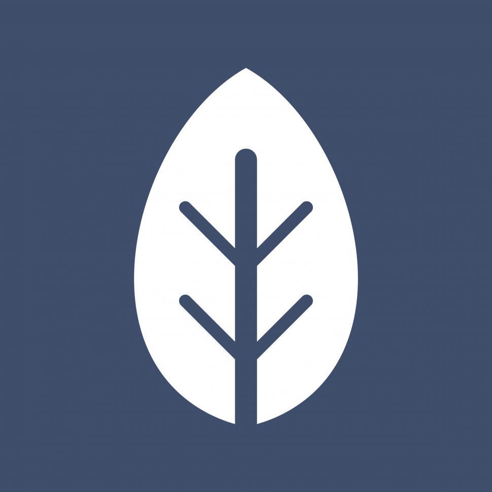 Leaf Icon Vector