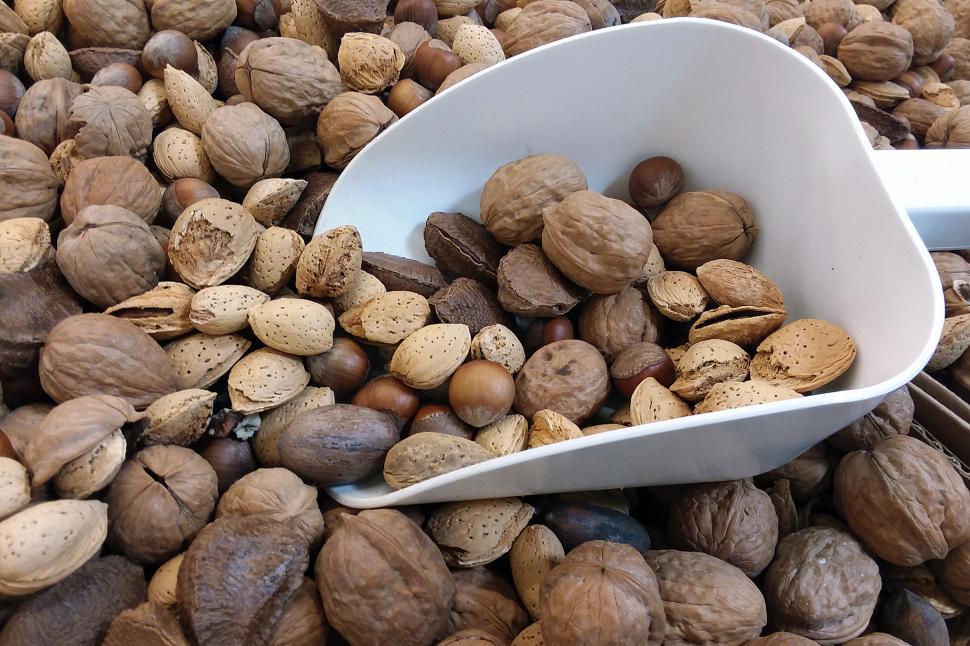 Free Stock Photo of Mixed Raw Nuts | Download Free Images and Free ...