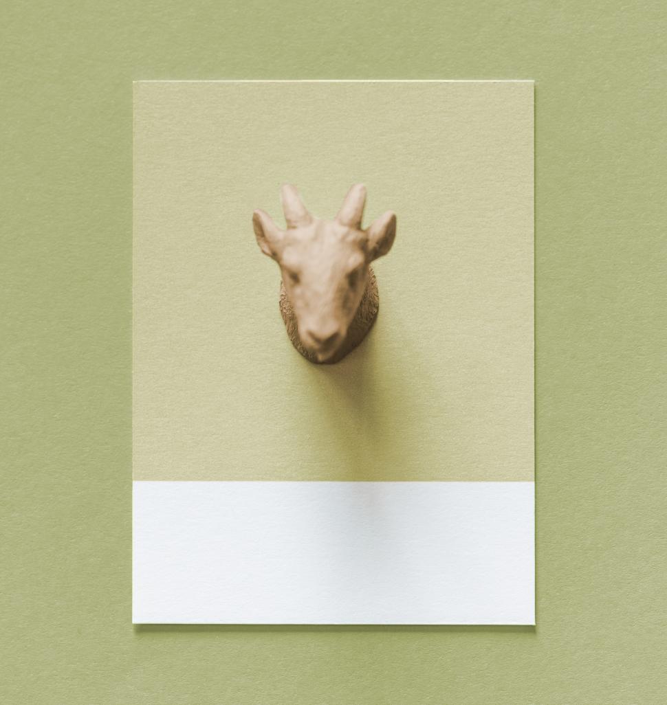 Free Stock Photo of Flay lay of a miniature toy goat s head on a spaced ...