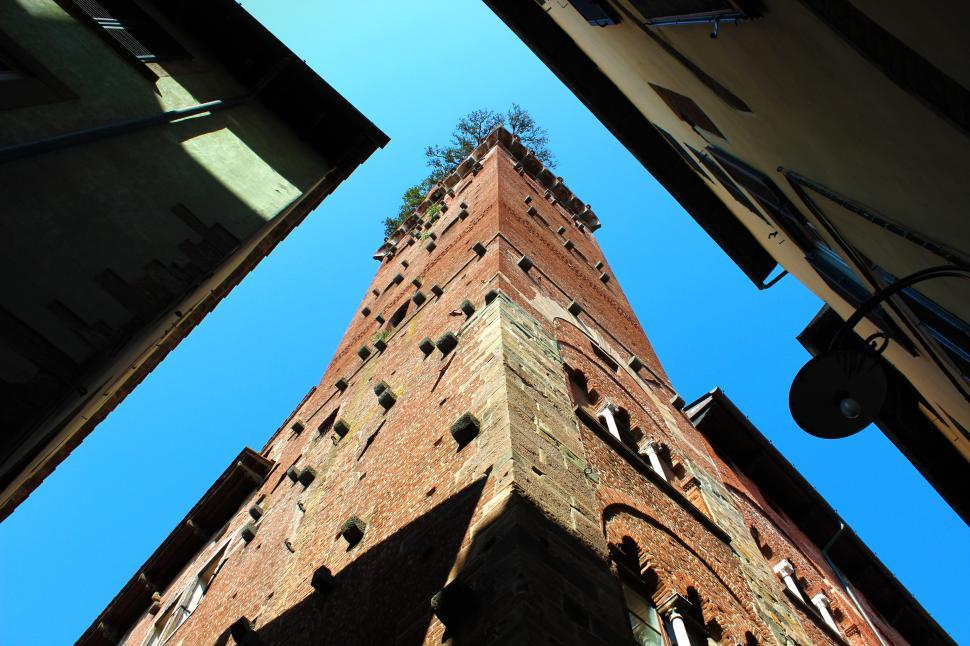 Free Stock Photo of Guinigi Tower - Lucca - Italy - Perspective From ...