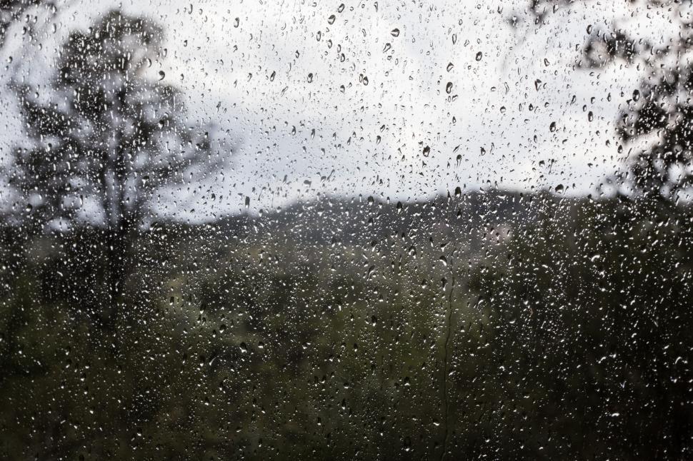 Free Stock Photo of Water beading on a window | Download Free Images ...
