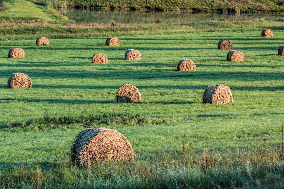 Free Stock Photo of Field Filled With Hay Bales | Download Free Images ...