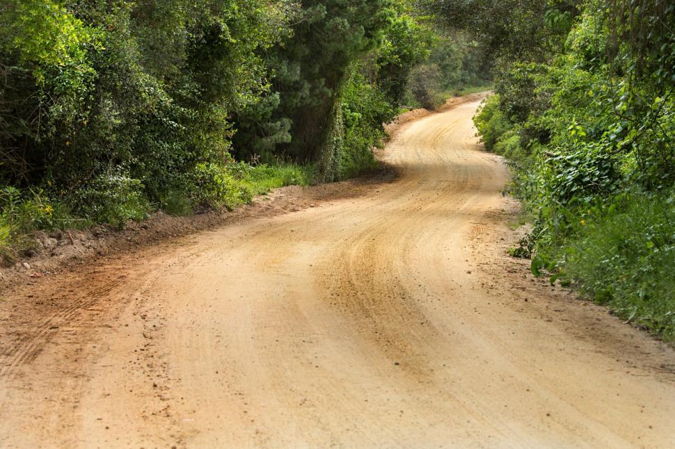 Free Stock Photo of Dirt Road Cutting Through Forest | Download Free ...