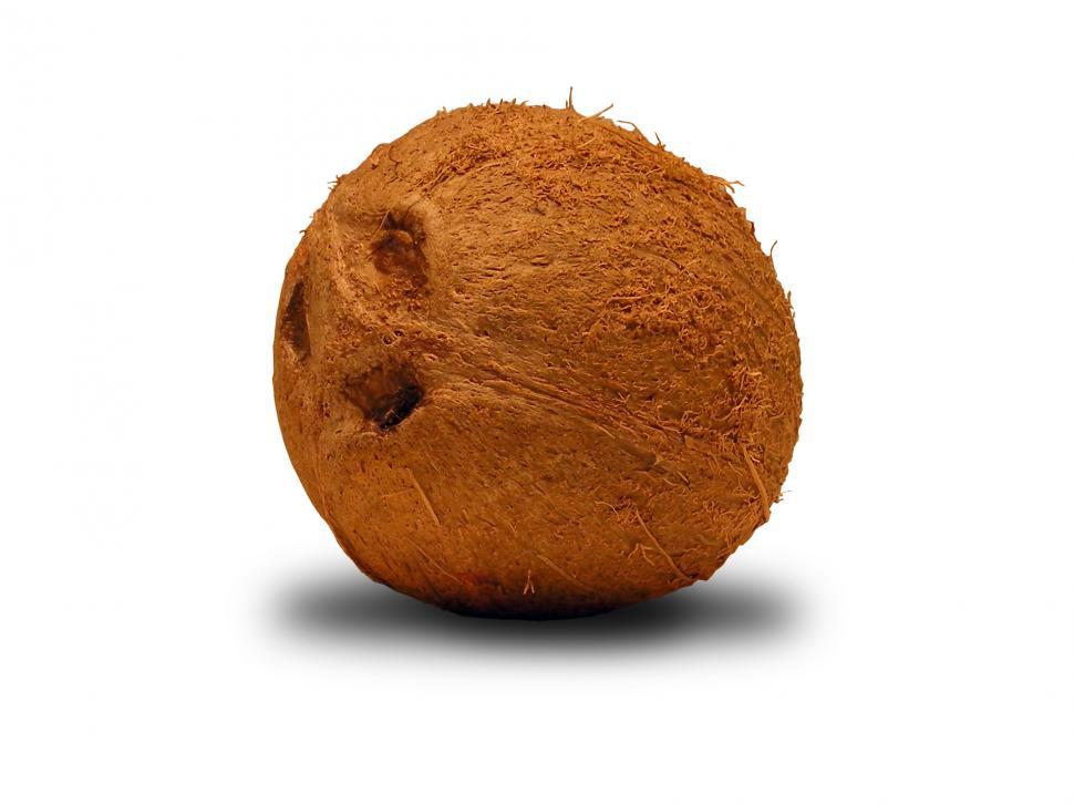 Free Stock Photo of Coconut | Download Free Images and Free Illustrations