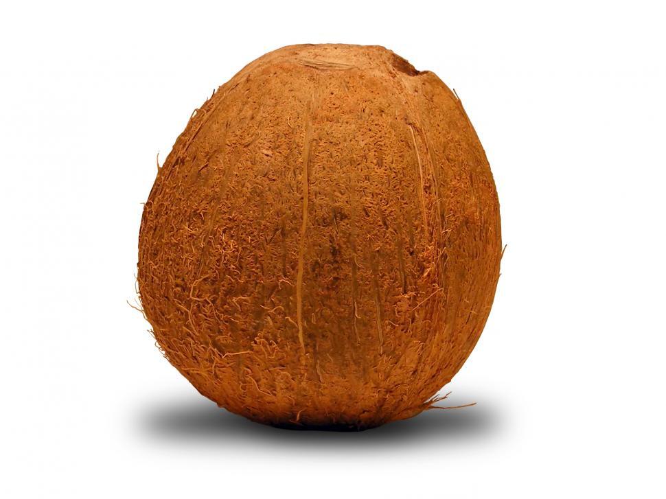 Free Stock Photo of Coconut | Download Free Images and Free Illustrations