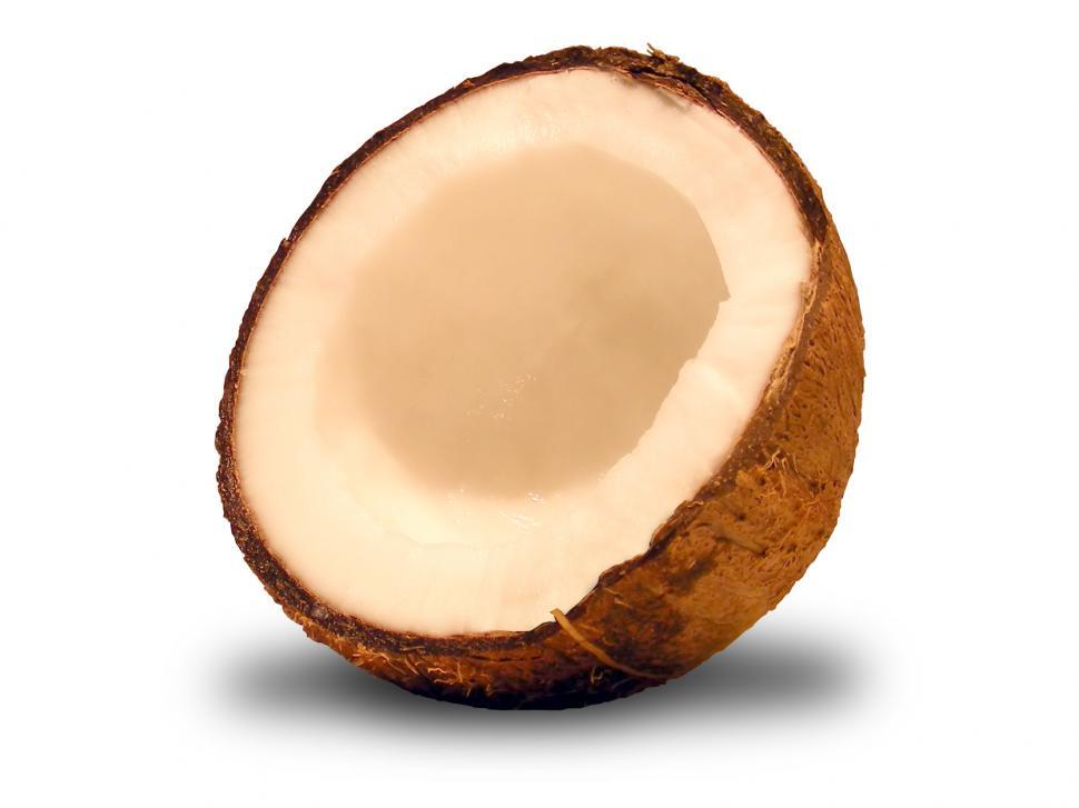 Free Stock Photo of Coconut | Download Free Images and Free Illustrations