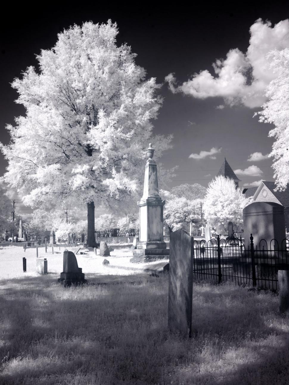Free Stock Photo of Cemetery in Tuscaloosa, Alabama | Download Free ...