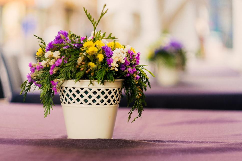 Free Stock Photo of Flower Vase | Download Free Images and Free ...