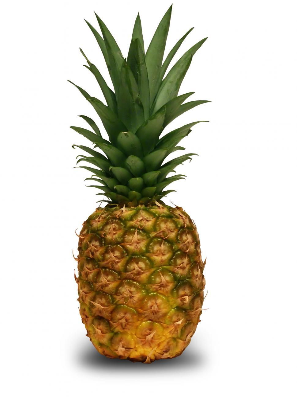 Free Stock Photo of Pine Apple | Download Free Images and Free ...