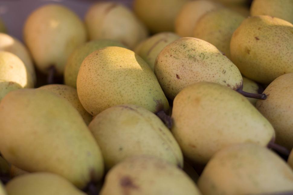 Free Stock Photo of Yellow Pears | Download Free Images and Free ...