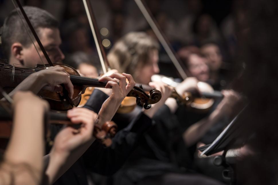 Free Stock Photo of Performance of violinists | Download Free Images ...