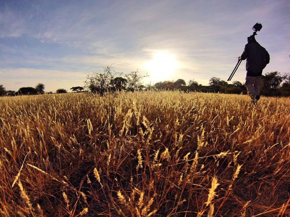 Free Stock Photo of Photographer in field | Download Free Images and ...