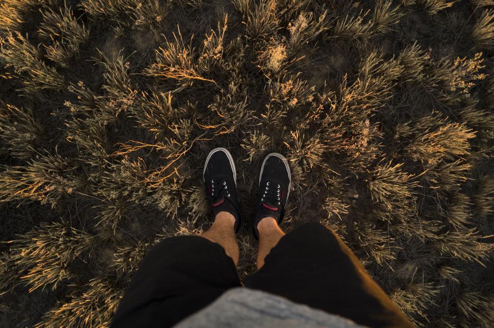 Free Stock Photo of Sneakers in Feet - Looking Down | Download Free ...