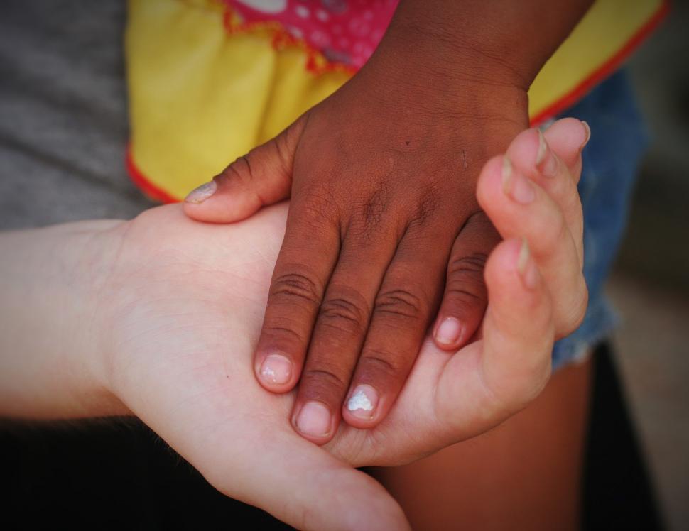 Free Stock Photo of Caucasian and African Hand | Download Free Images ...