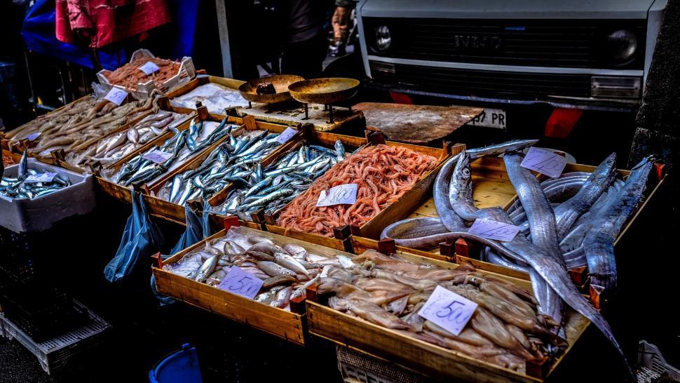 Free Stock Photo of Fish Stall in Market | Download Free Images and ...
