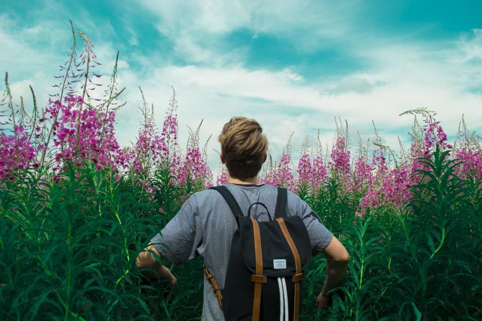 Free Stock Photo of Back Side View of Single Caucasian Man in Pink ...