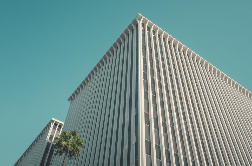Free Stock Photo of Single Tree and Building | Download Free Images and ...