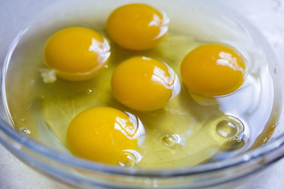 Free Stock Photo of Egg yolks | Download Free Images and Free Illustrations