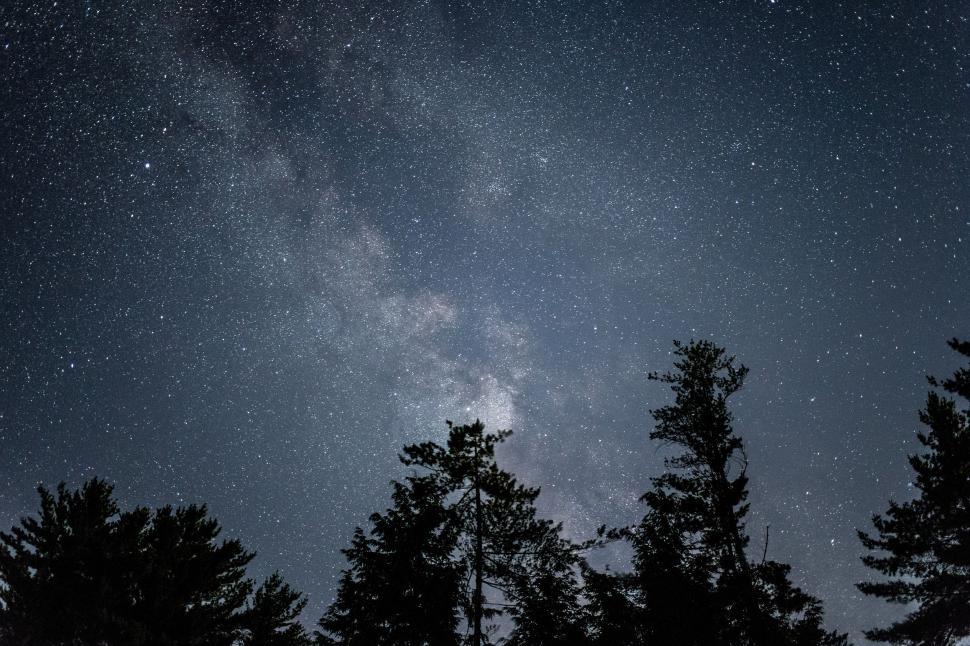 Free Stock Photo of Trees and Stars | Download Free Images and Free ...