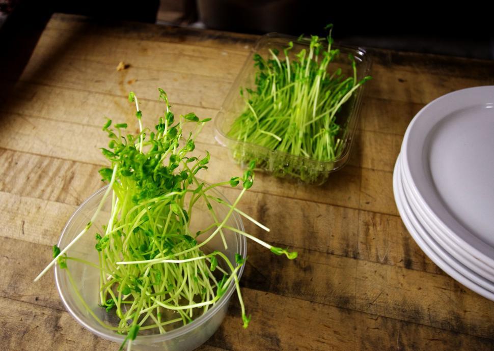 Free Stock Photo of Mung bean sprouts | Download Free Images and Free ...