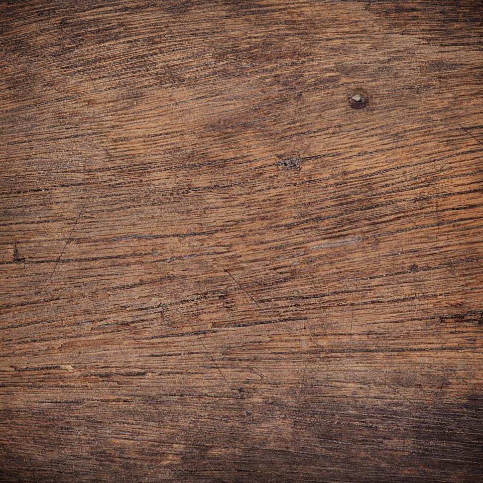 Free Stock Photo of Brown Tree stump | Download Free Images and Free ...