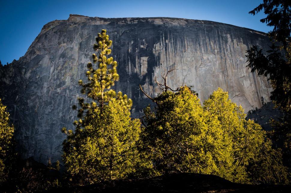 Free Stock Photo of Rock Mountain and Trees | Download Free Images and ...