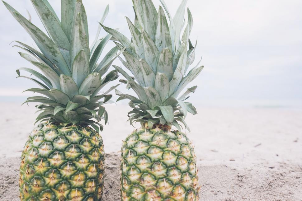 Free Stock Photo of Two Pineapple | Download Free Images and Free ...