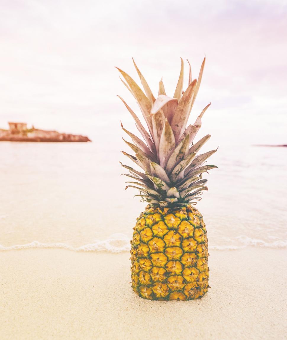 Ananas Tumblr Achtergronden Ananas Pictures | Download Free Images On