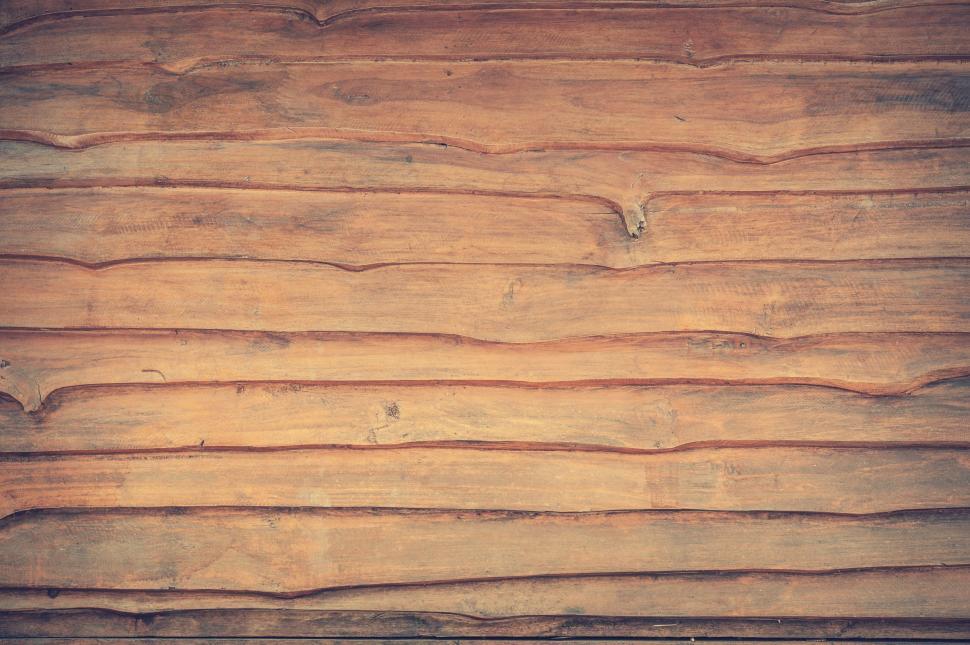 Free Stock Photo of Tree Wood - Background | Download Free Images and ...