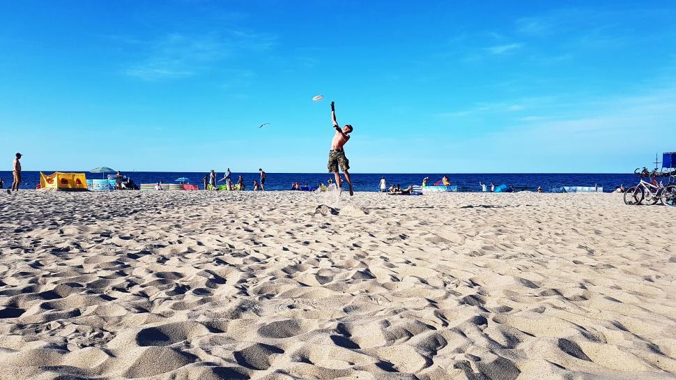 Free Stock Photo of Man with Frisbee on beach | Download Free Images ...