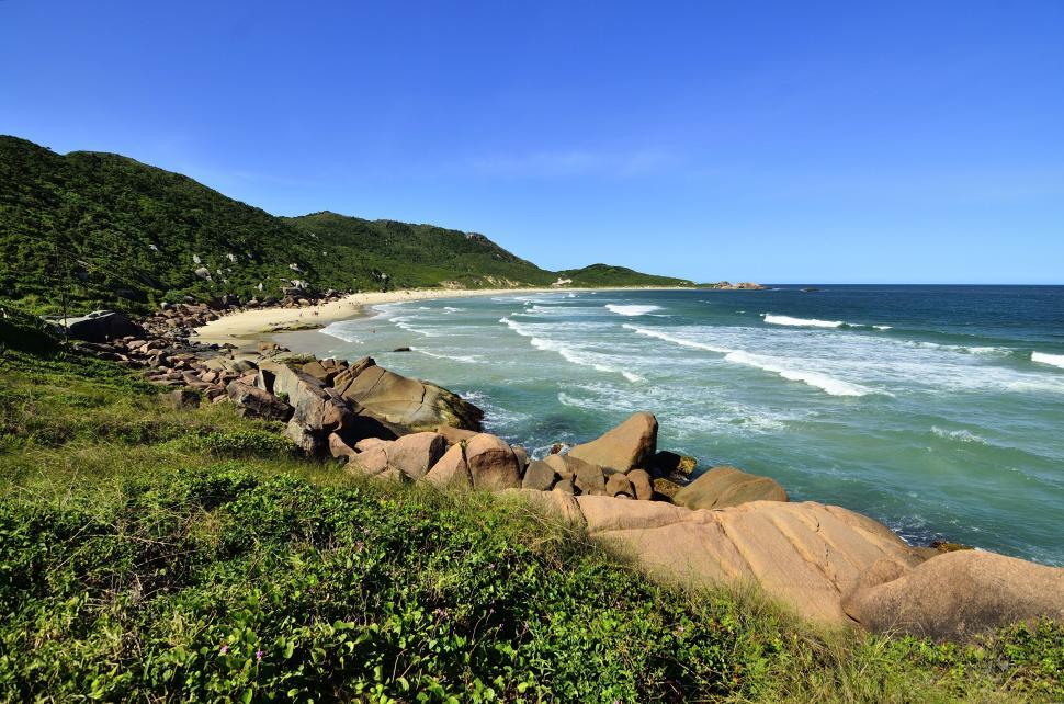 Free Stock Photo of Green Grass and Beach | Download Free Images and ...