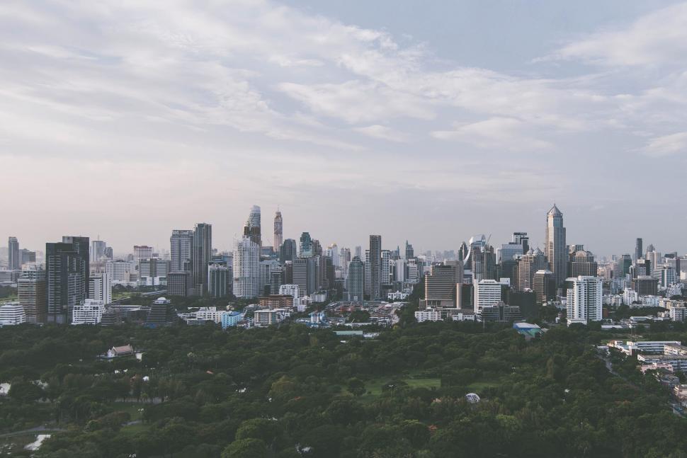 Free Stock Photo of Day View of Trees and Skyscrapers | Download Free ...