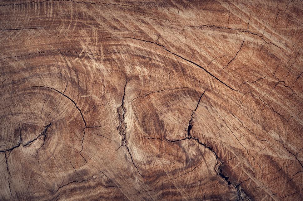 Free Stock Photo of Wood Grain | Download Free Images and Free ...