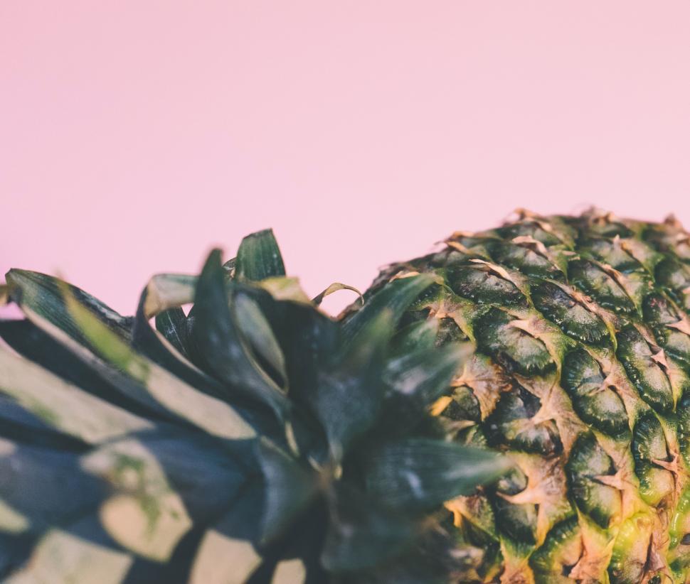Free Stock Photo of Pineapple Leaves | Download Free Images and Free ...